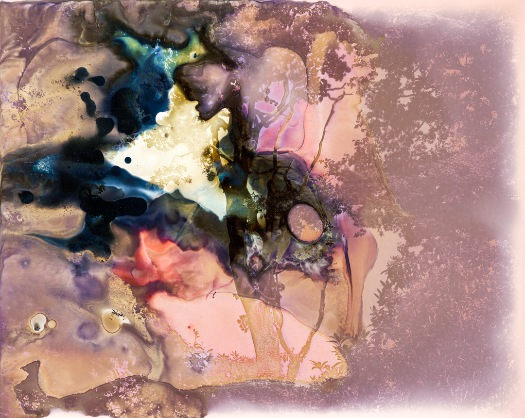 Ramifications – Elizabeth Woodger